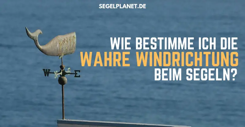Segeln lernen: Dein Online Segelkurs für Einsteiger und Geübte